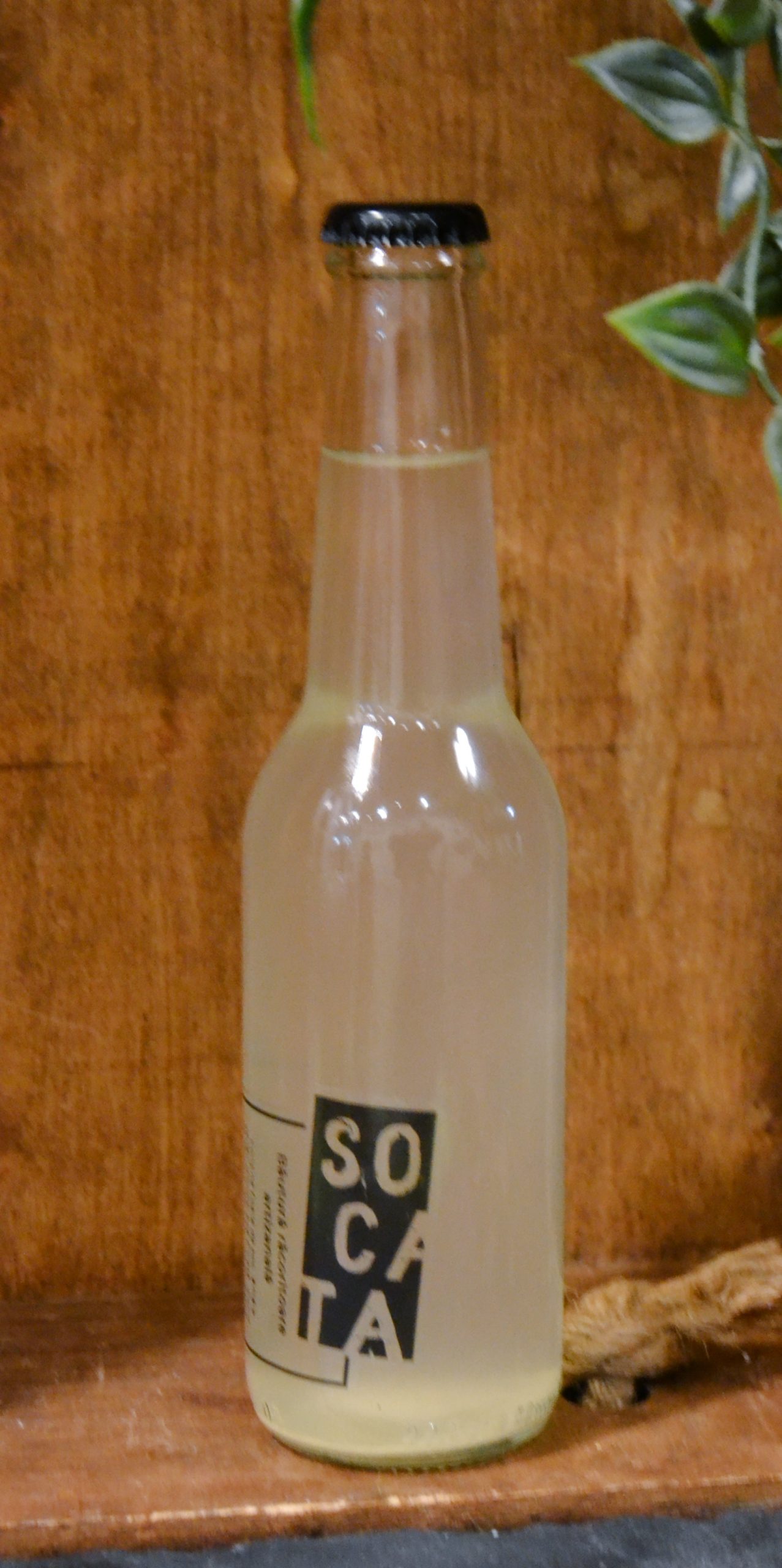 Socata - Bacania Boiereasca Suceava